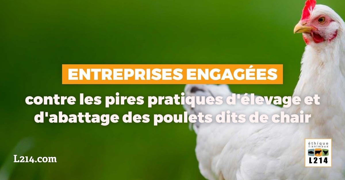 Petition update · Starbucks n'a pas tenu ses promesses ! · Change.org ... Petition update · Starbucks n'a pas tenu ses promesses ! · Change.org ...