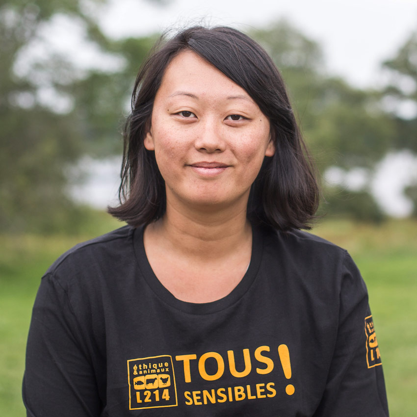 Aider les animaux par un legs dans son testament