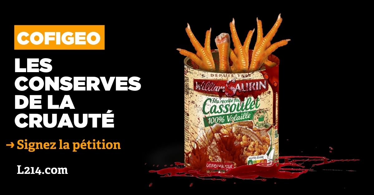 Cofigeo : les conserves de la cruauté | L214