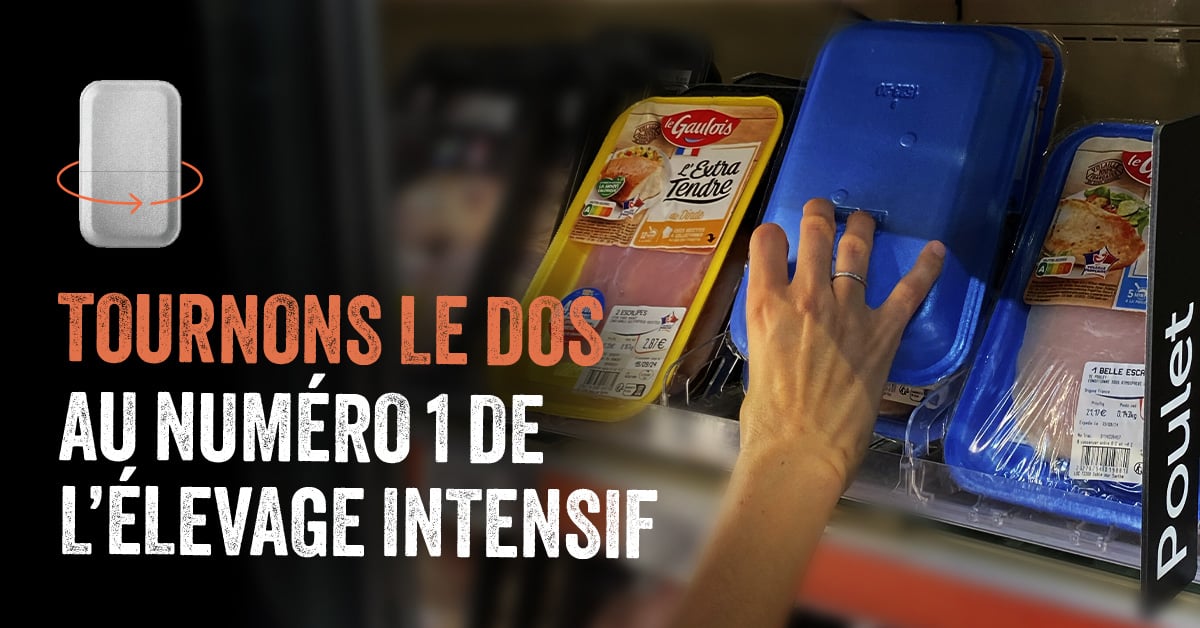 Tournons le dos au numéro 1 de l'élevage intensif