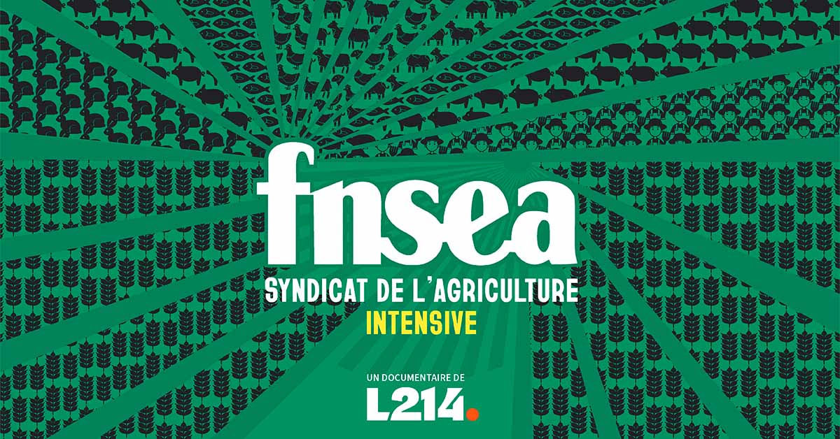 Documentaire inédit : FNSEA, syndicat de l’agriculture intensive